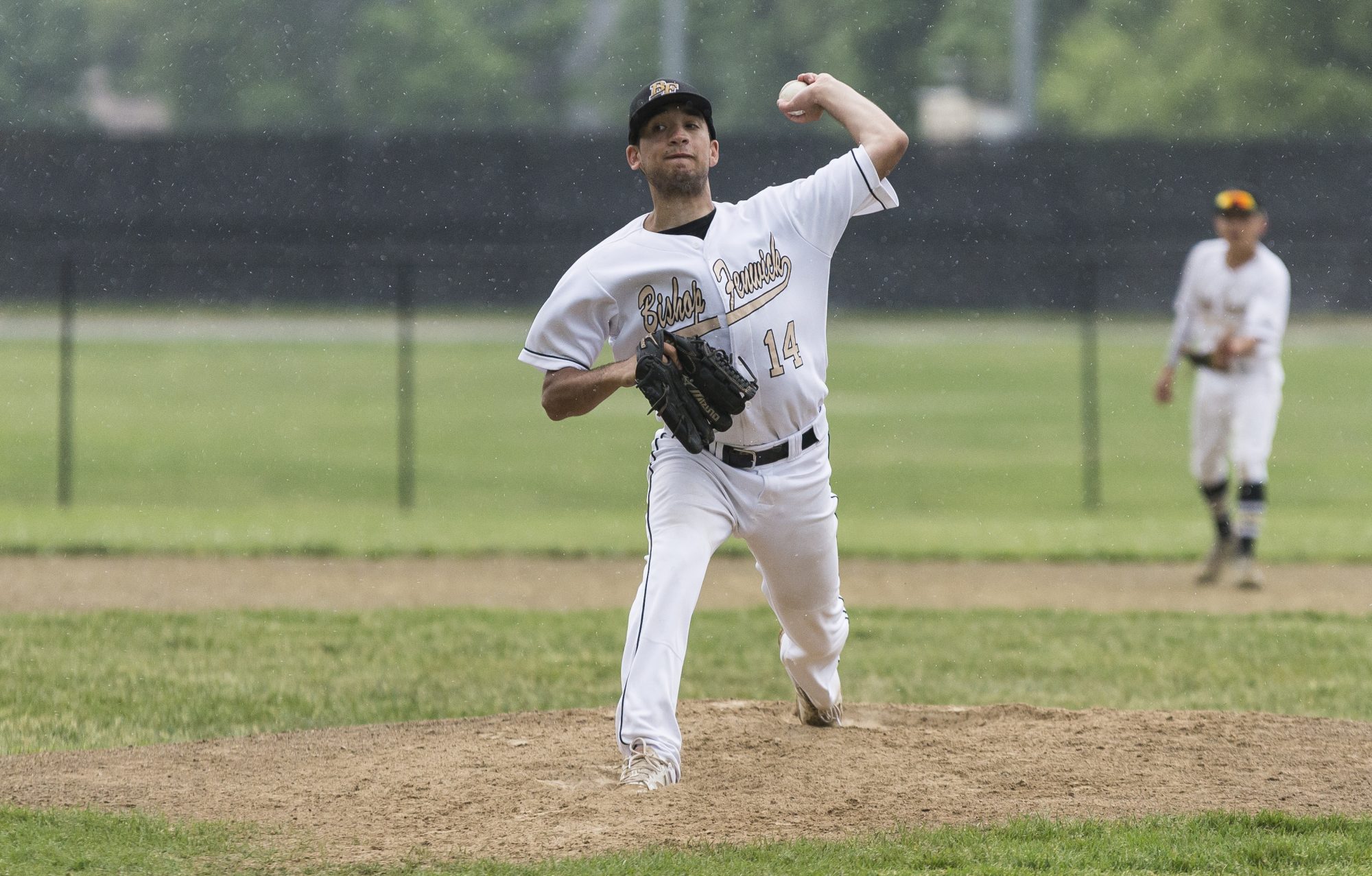 Fenwick baseball falls to Williams, looks ahead to states - Itemlive