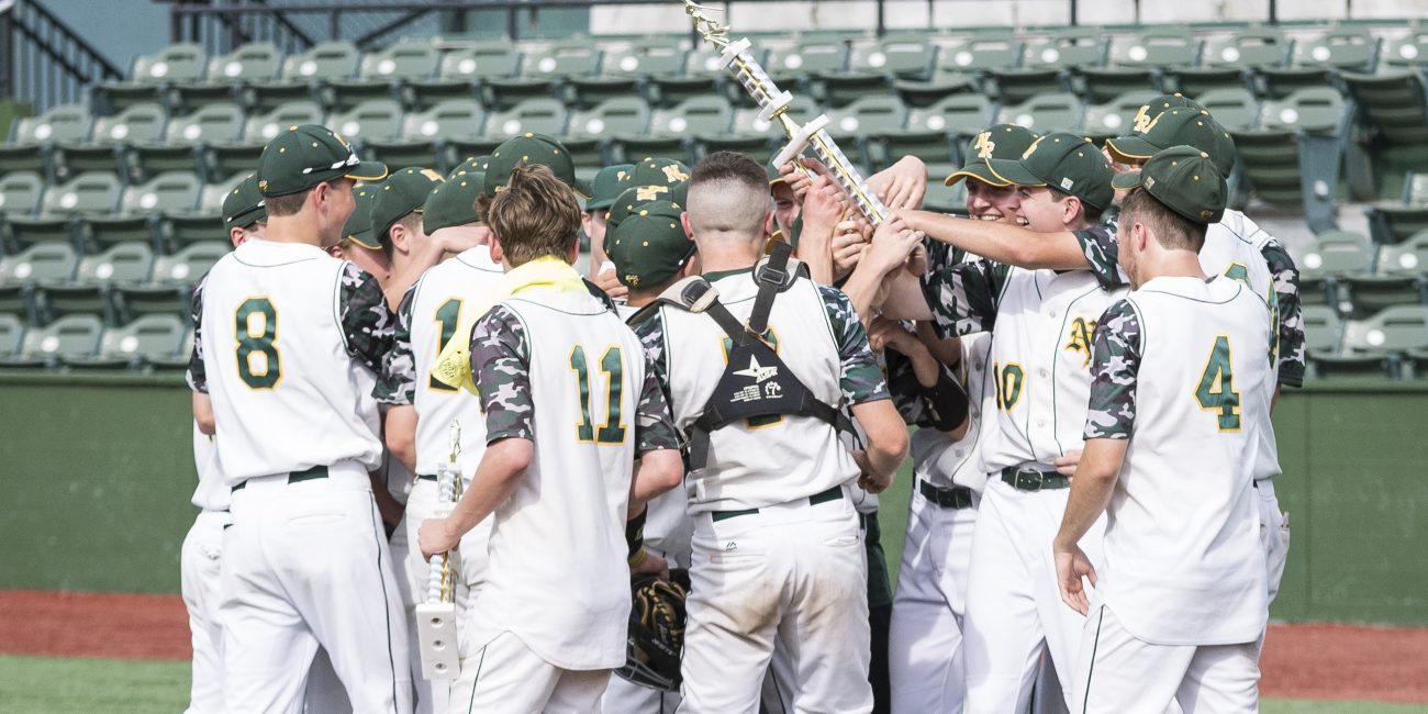 North Reading baseball will look to repeat, clinch state tournament ...