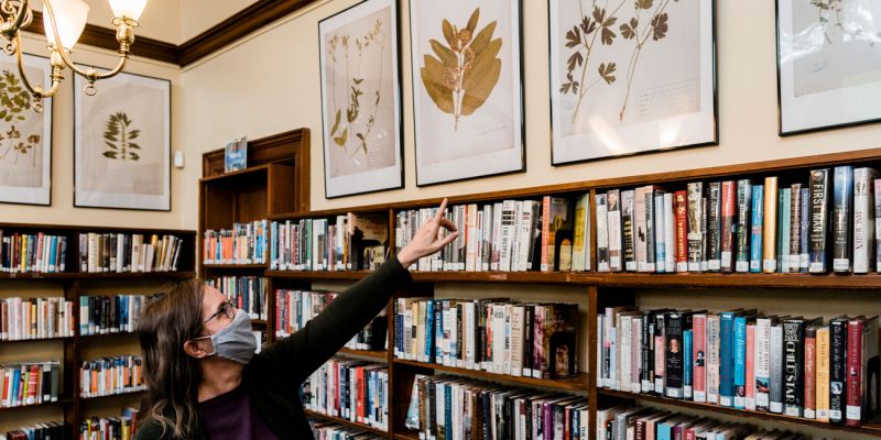 Nahant Public Library announces launch of its herbarium exhibit ...